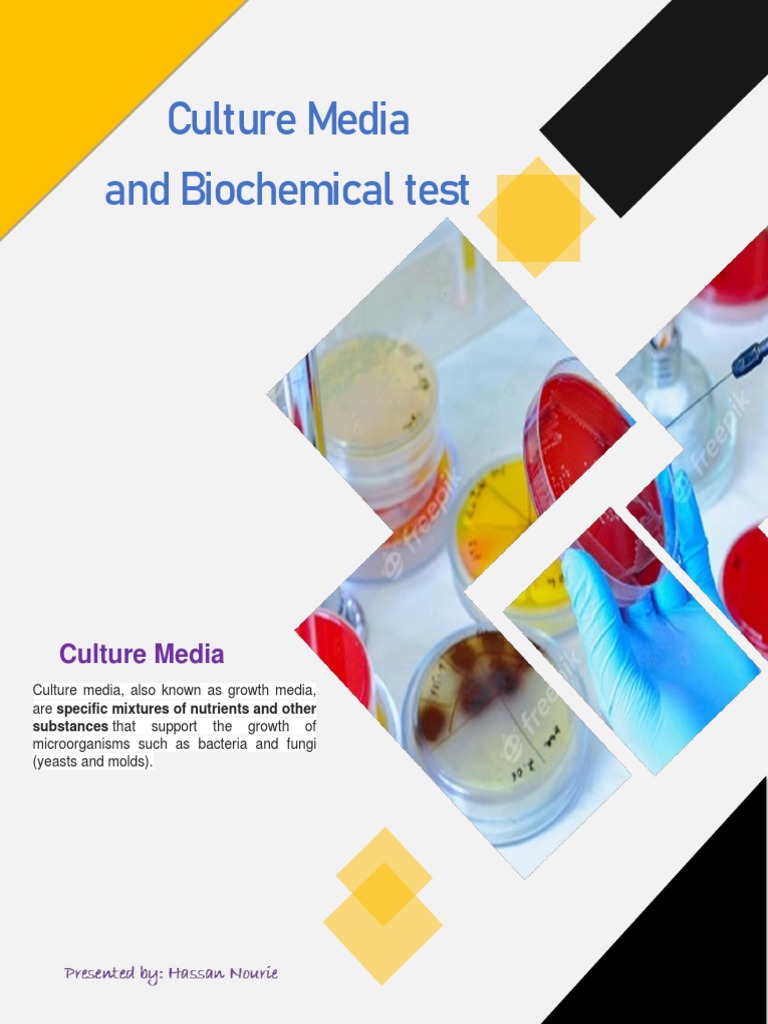 Culture Media and Biochemical Test | PDF | Growth Medium | Streptococcus
