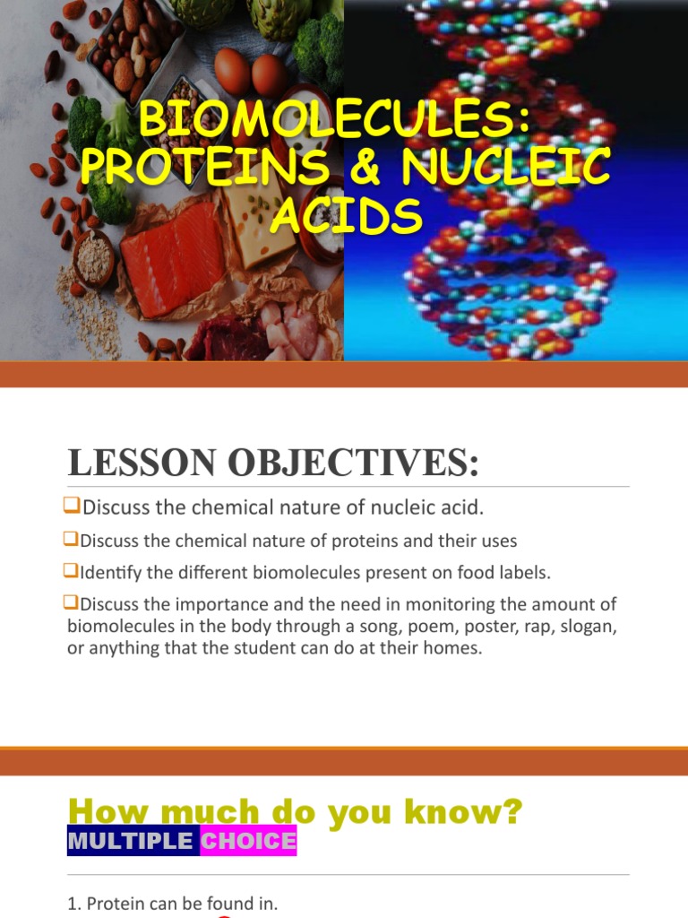 BIOMOLECULES Proteins and Nucleic Acids | PDF | Nucleic Acids | Rna