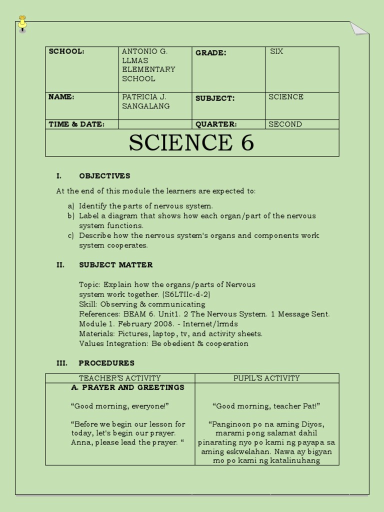 Science Detailed Lesson Plan | PDF | Nervous System | Central Nervous ...
