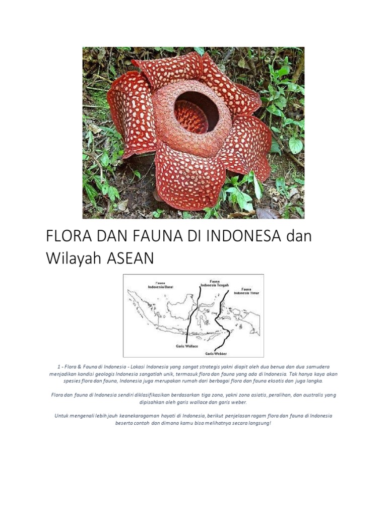 Perbedaan Fauna Indonesia Barat-Timur | PDF