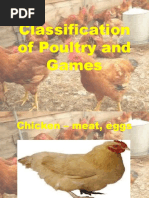 Types of Chicken Cuts Explained | PDF | Cooking, Food & Wine