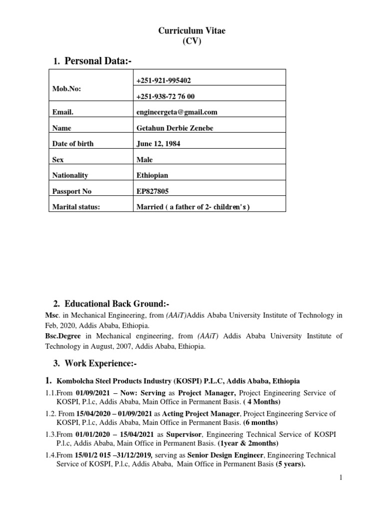 Getahun Derbie Zenebe CV | PDF | Ethiopia | Engineering