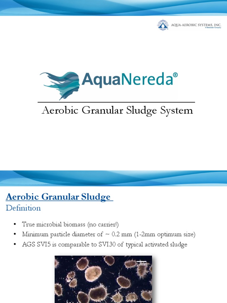 Aerobic Granular Sludge System Nereda-1 | Download Free PDF | Water ...