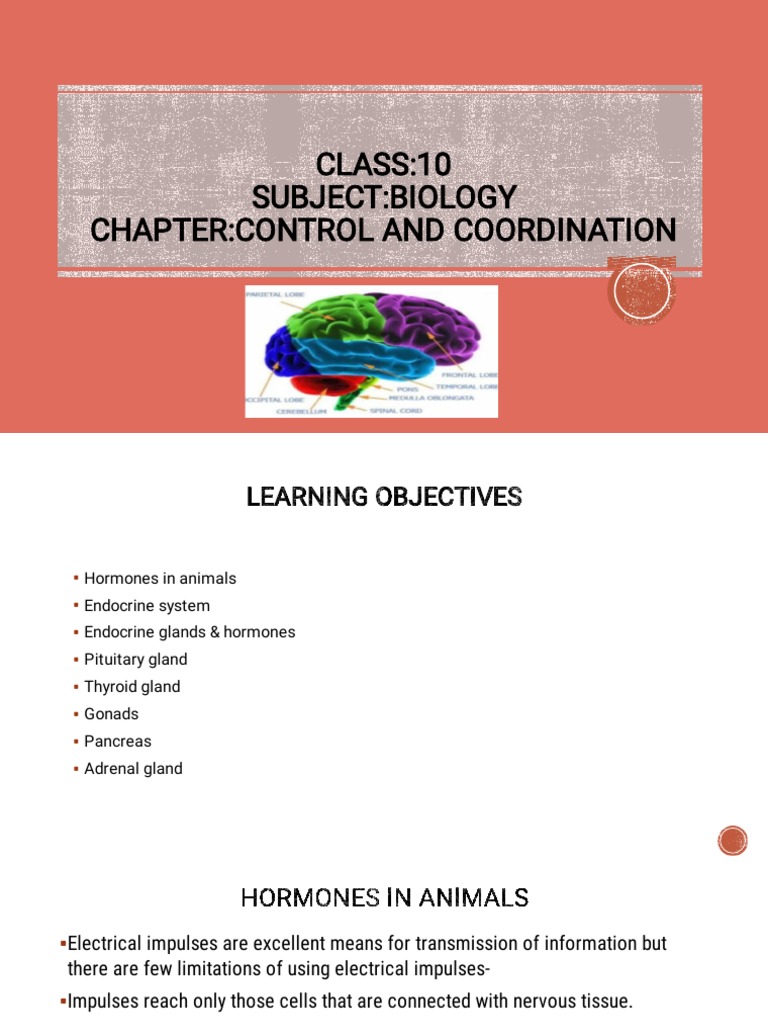 CLASS:10 Subject:Biology Chapter:Control and Coordination | PDF ...