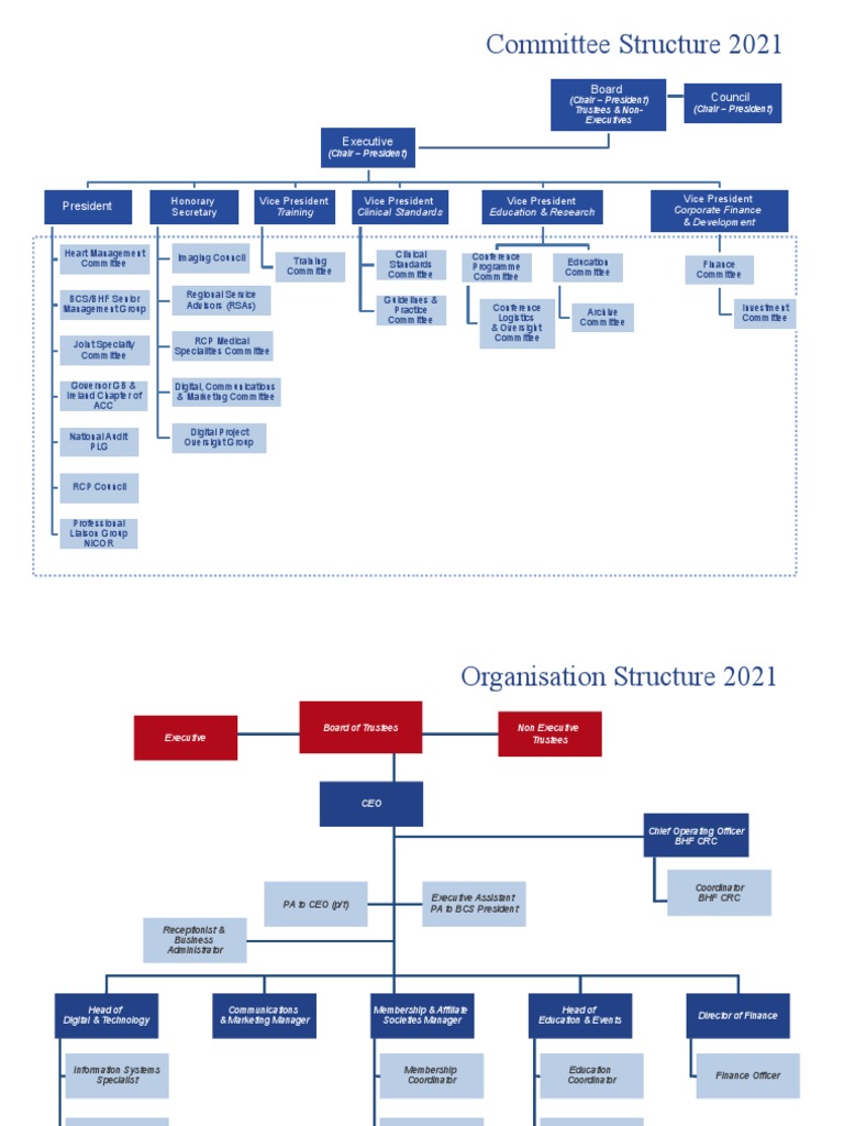 BCS Committees and Organisation Structure 2021 | PDF | Business