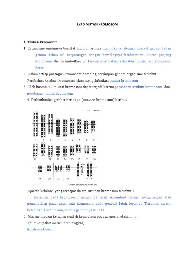 LKPD Mutasi Kromosom | PDF