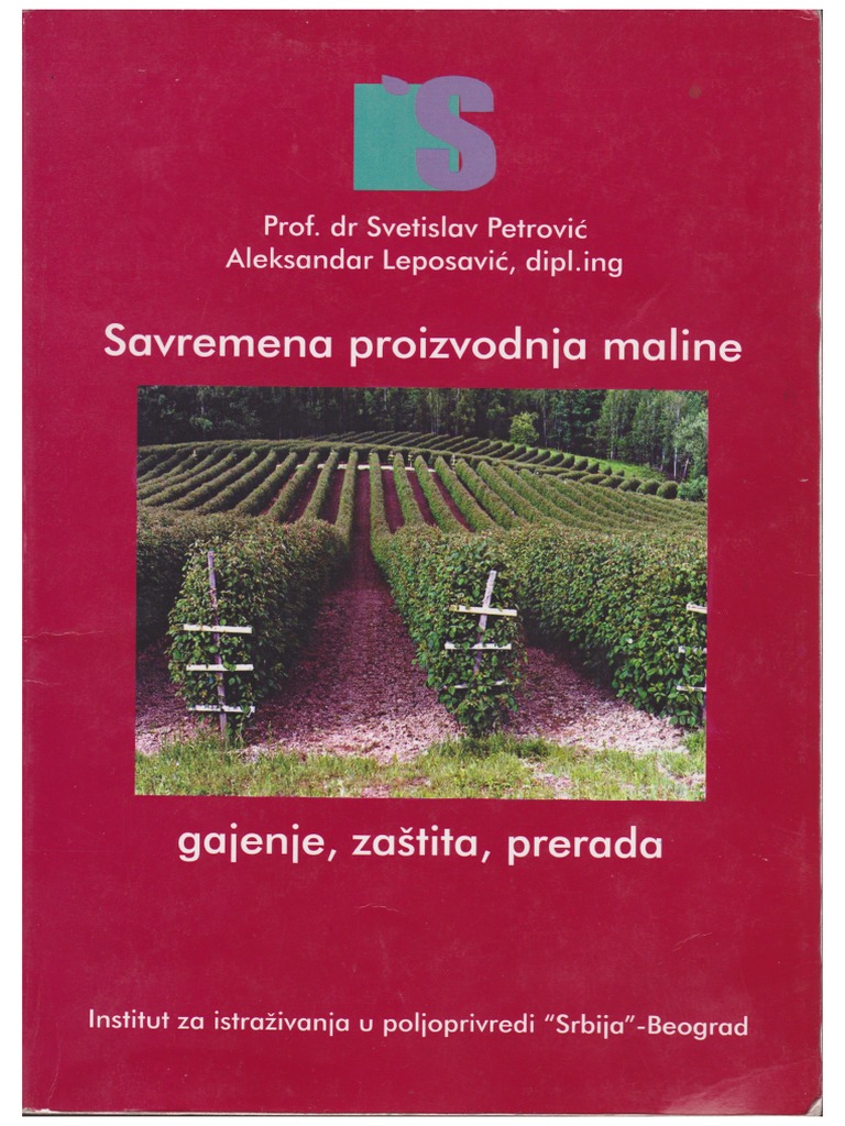 Savremena Proizvodnja Malina | PDF