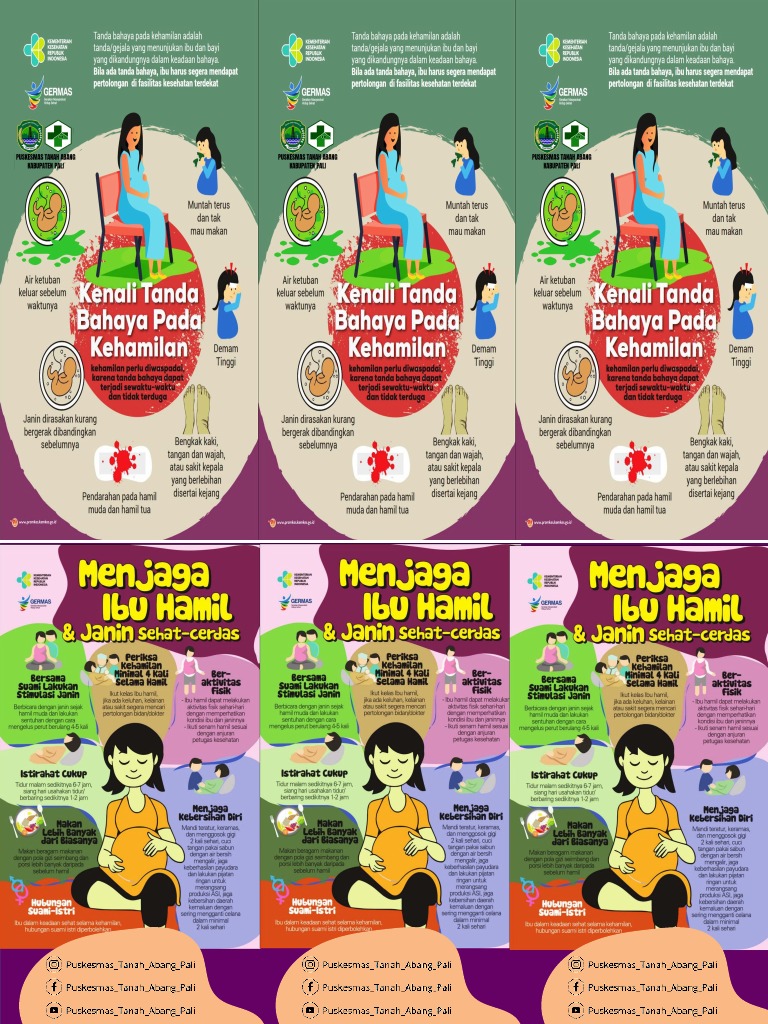 Leafleat Ibu Hamil | PDF