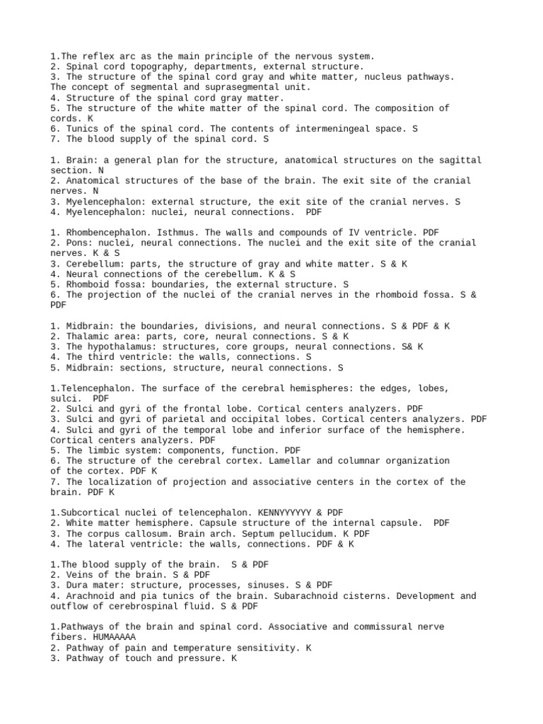 Cns Mfs 2 | PDF | Cerebral Cortex | Central Nervous System