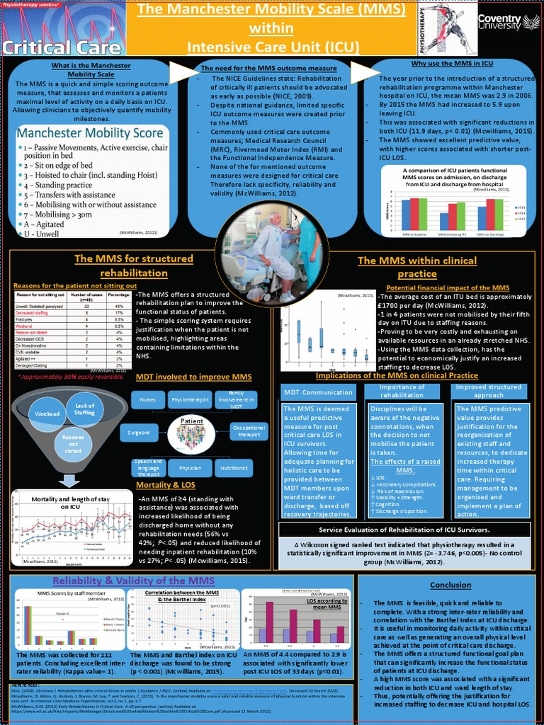 The MMS For Structured Rehabilitation The MMS Within Clinical Practice ...