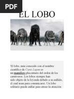 Anexo Lobos | PDF | Piel | Zoología