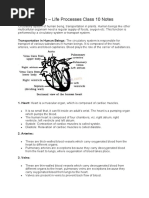 Cbse Class Ix Animal Tissue Flow Chart | PDF | Epithelium | Tissue ...