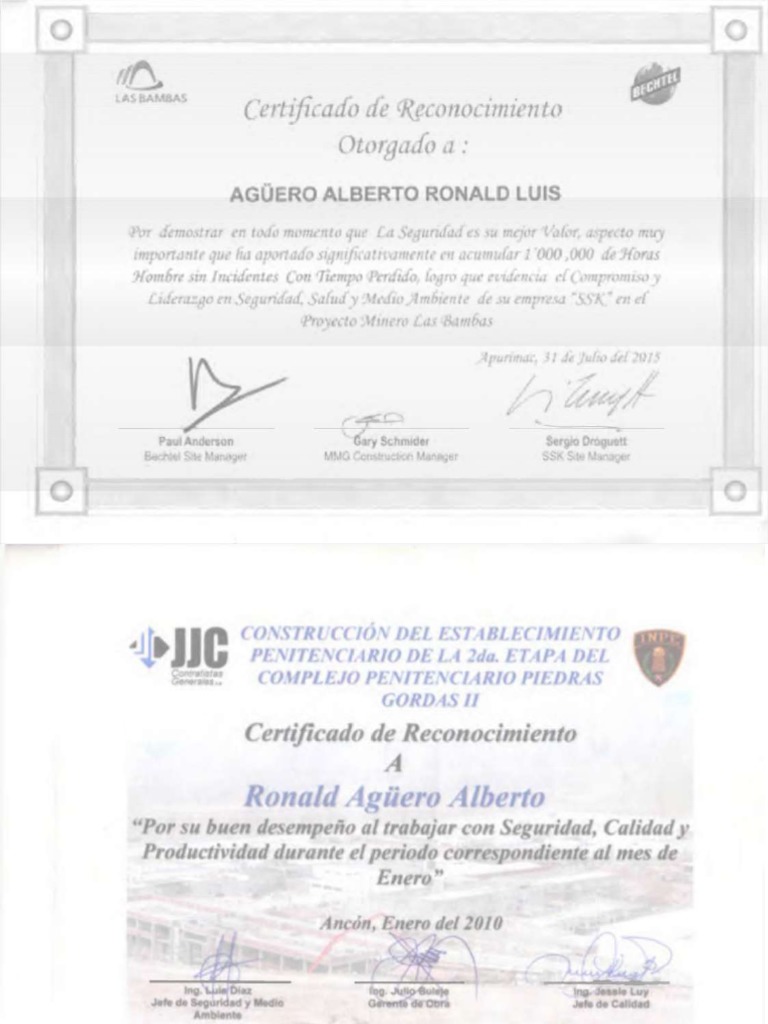 Curriculum Ronald Aguero | PDF