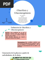 Zimógenos: Activación y Función | PDF | Salud y bienestar