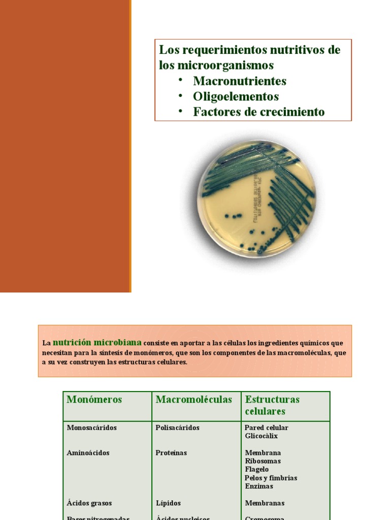 CONTROL MICROBIANO | PDF | Las bacterias | Organismos