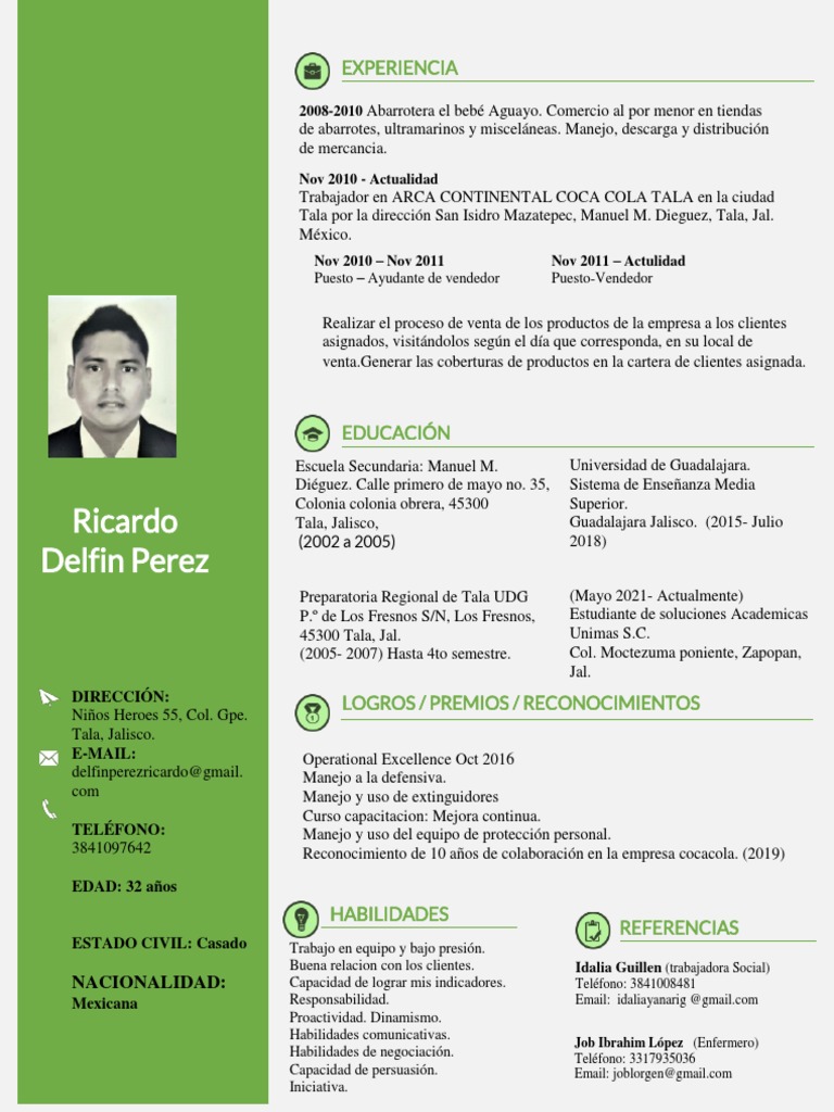 Curriculum Ricardo | PDF