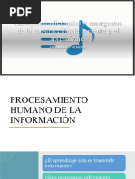 Entregable 2.evolucion de Las Percepciones. | PDF | Las emociones | Adultos
