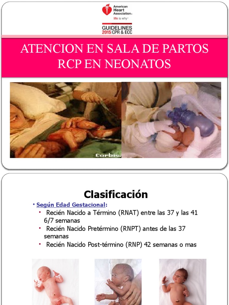Rcp en Neonatos | PDF | Reanimación cardiopulmonar | Infantes