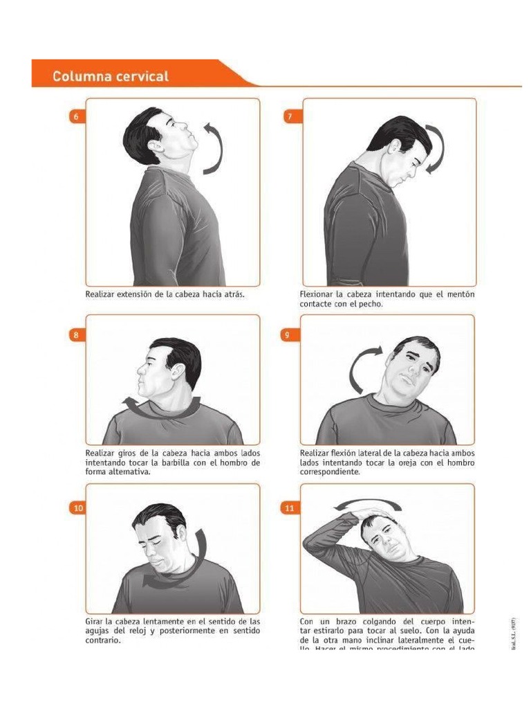 EJERCICIOS CERVICAL | PDF