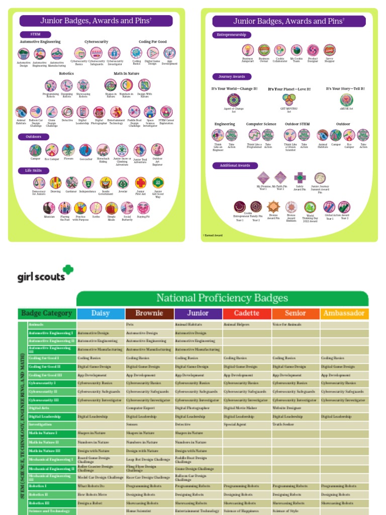Junior Badges, Awards and Pins Junior Badges, Awards and Pins | PDF