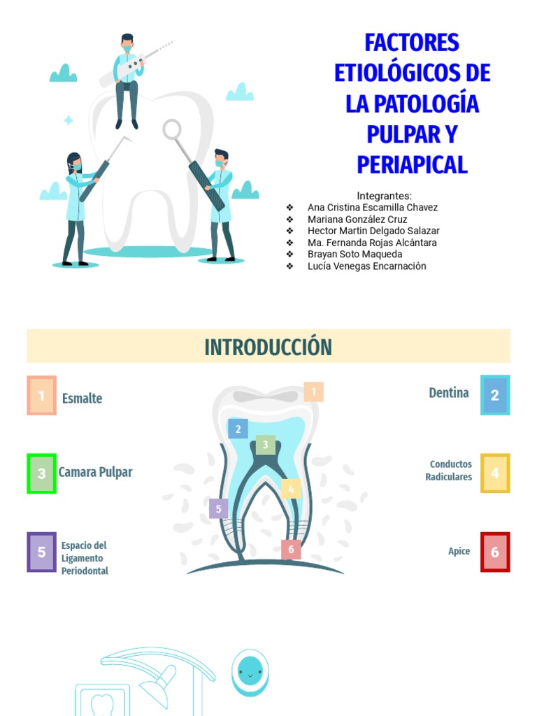 Factores Etiológicos de La Patología Pulpar y Patologia Periapical ...