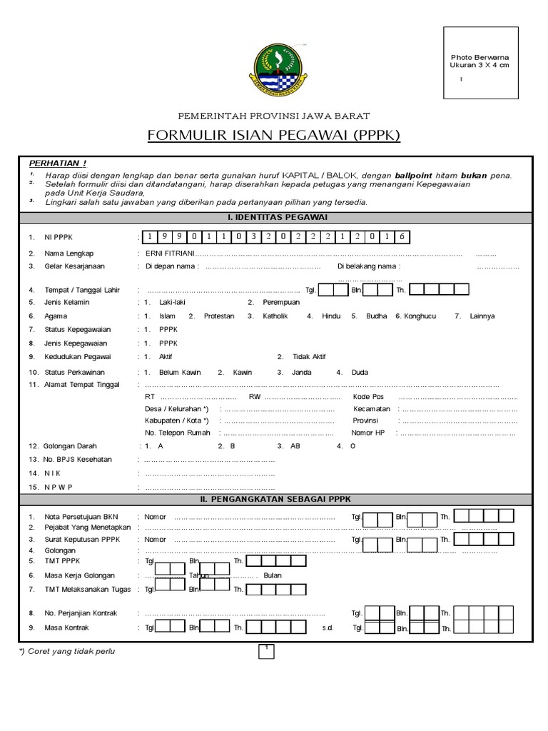Formulir Isian Pegawai (PPPK) : Pemerintah Provinsi Jawa Barat | PDF