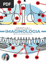 Mapas Mentais Odonto Gratuitos 2r | PDF | Odontologia | Cabeça e ...