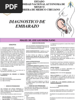 M1. Tema 4 Ciclo Ovárico Foliculogénesis | PDF | Sistema endocrino | Sistema reproductivo