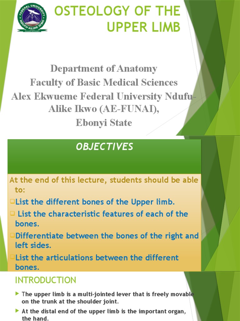 Osteology of The Upper Limb Lecture | PDF | Hand | Joints