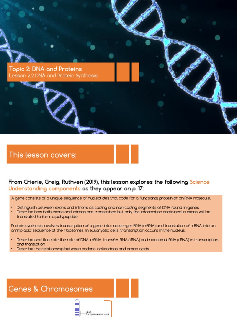 DNA and Protein Powerpoint | PDF | Rna | Messenger Rna