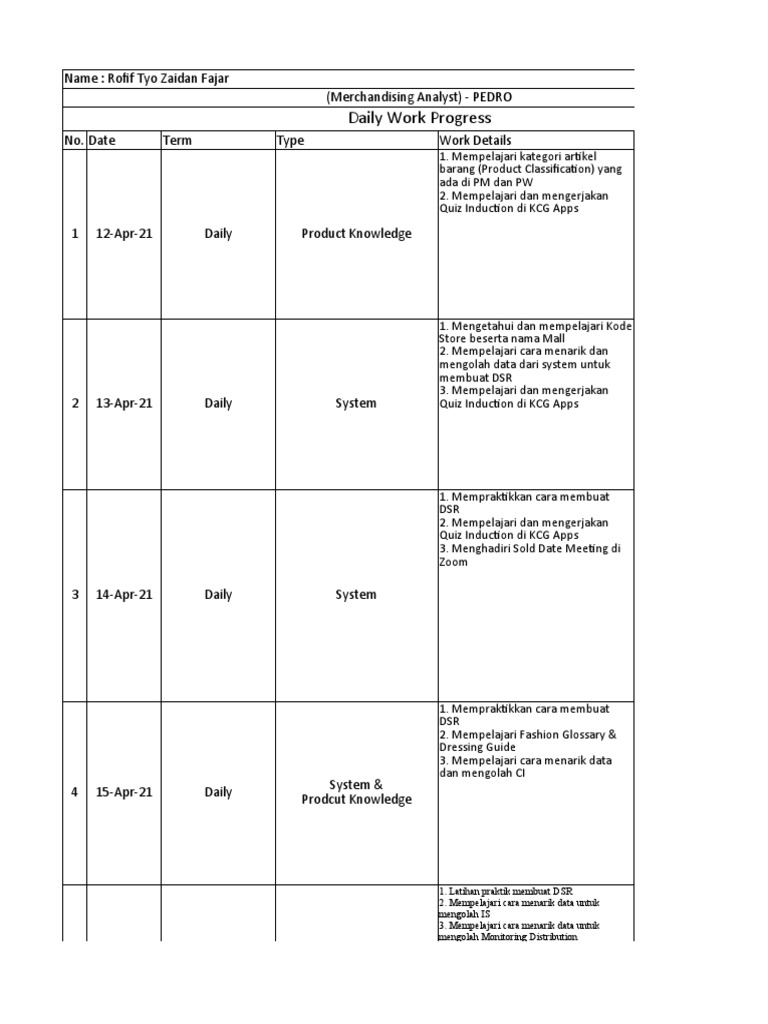Daily Work Progress - Sample | PDF