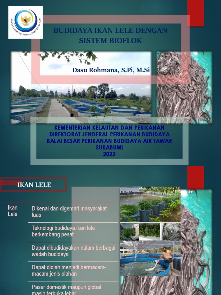 Budidaya Lele Sistem Bioflok | PDF