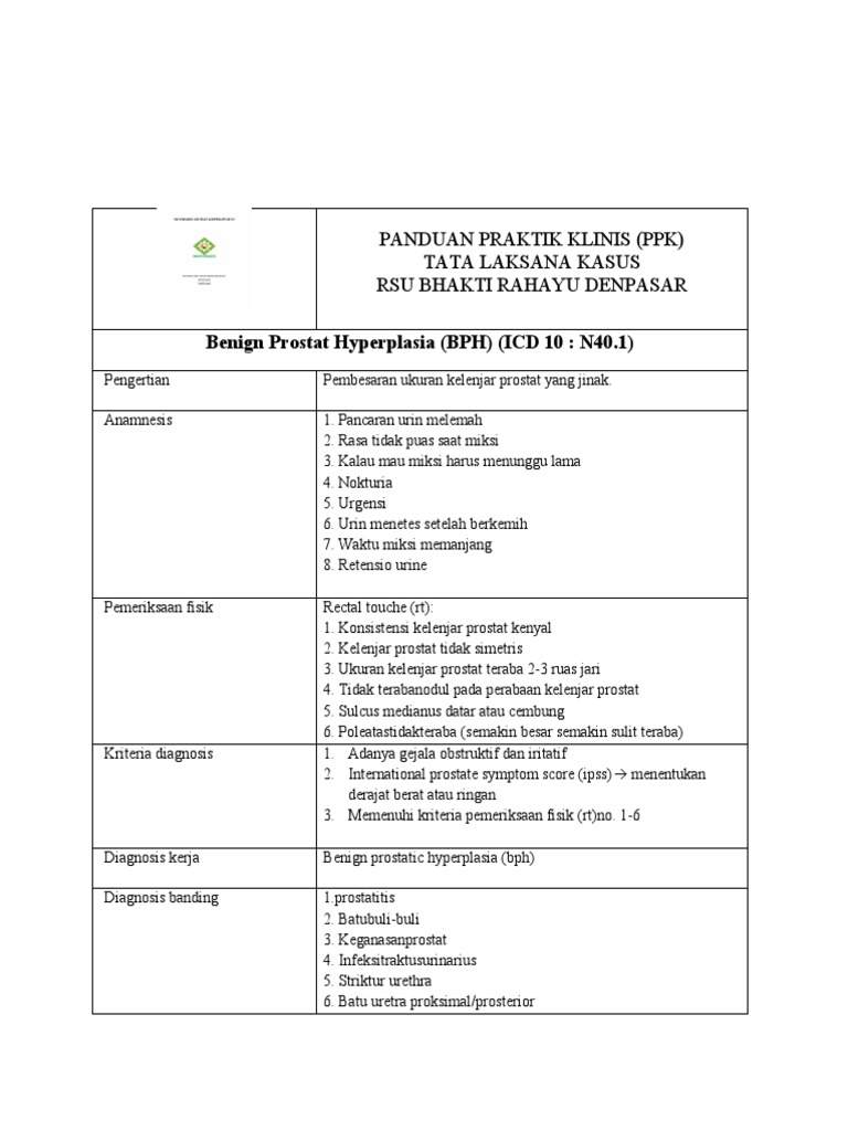 PPK BPH New | PDF