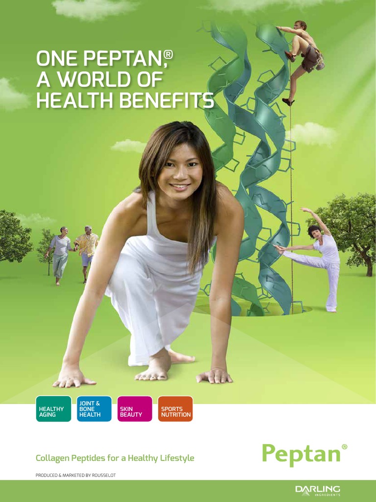 Peptan General Brochure | PDF | Collagen | Amino Acid