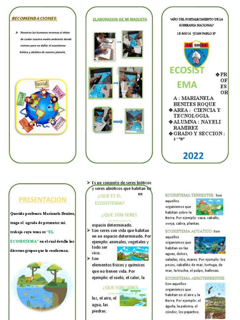 Triptico Ecosistema | PDF | Ecosistema | Tierra
