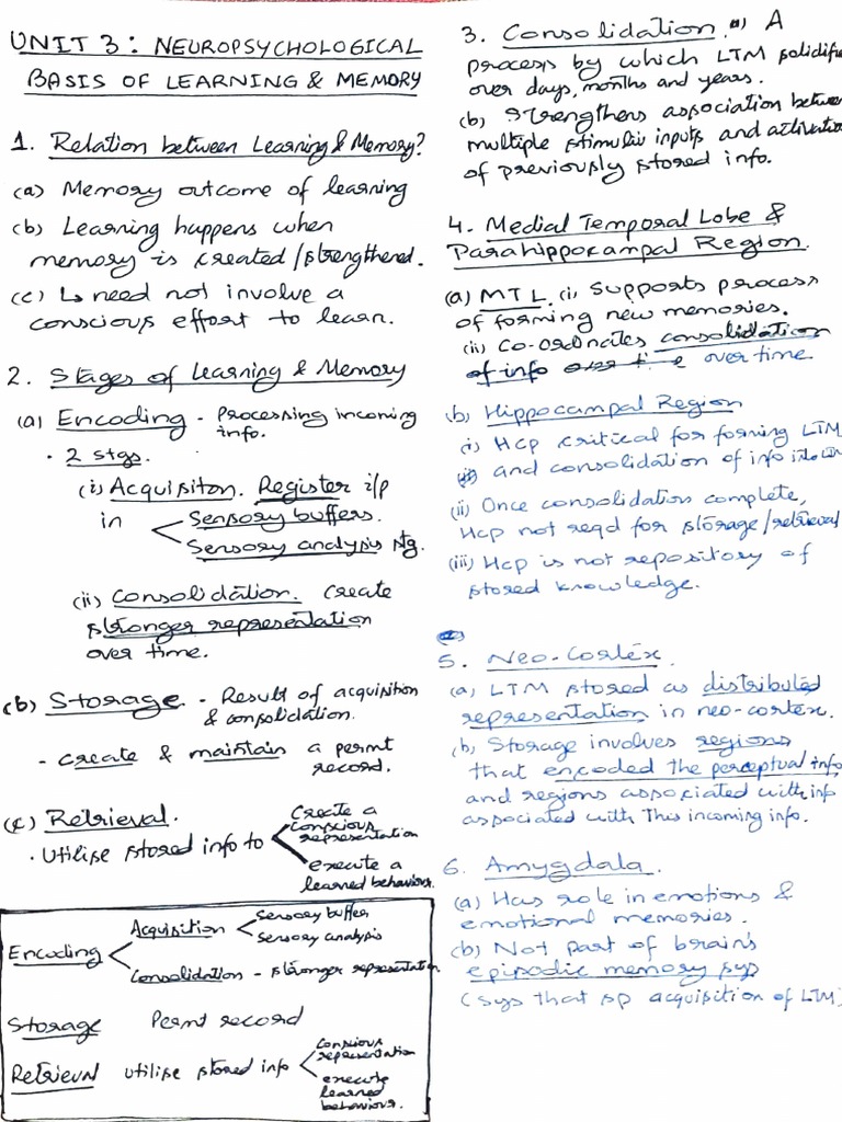 Neuropsychological Basis of Learning and Memory Notes | PDF