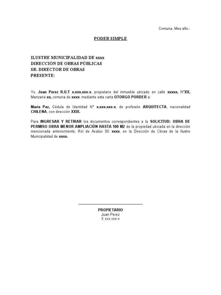 Ejemplo de Poder Simple Chile | PDF