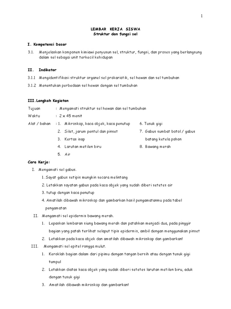LKS 3.1 Rev 22 | PDF