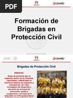 Brigada Multifuncional | PDF | Defensa Civil