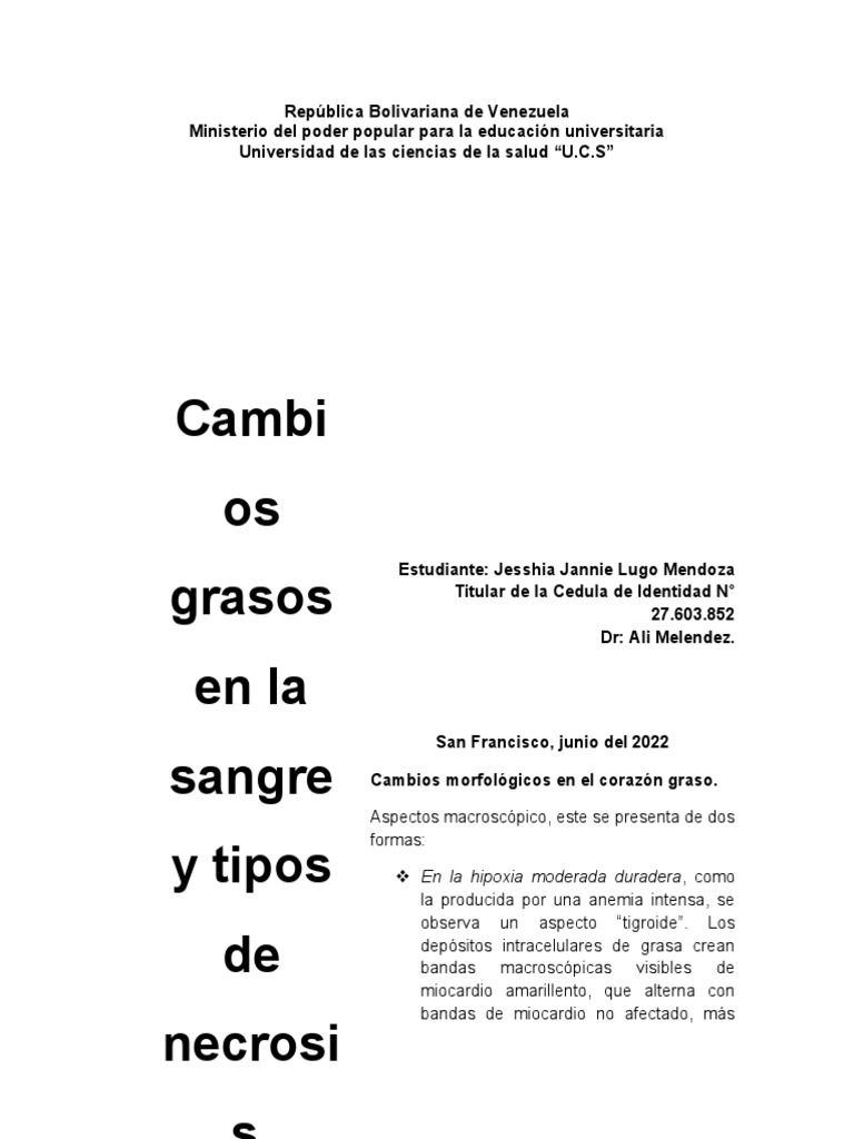 Cambios morfológicos en el corazón graso | PDF | Isquemia | Músculo ...