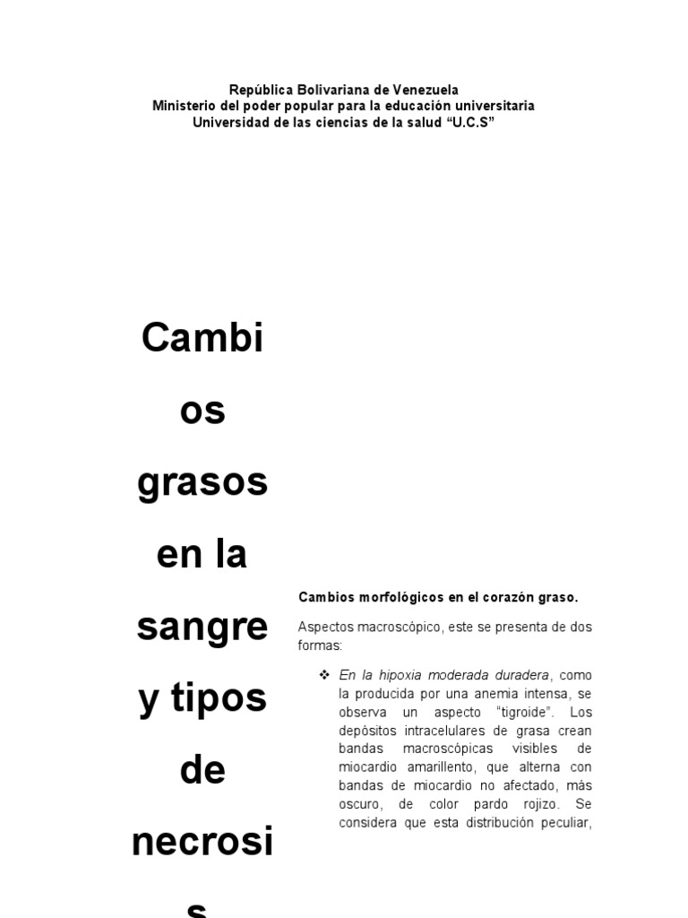 Cambios en el corazón graso | PDF | Isquemia | Músculo cardíaco