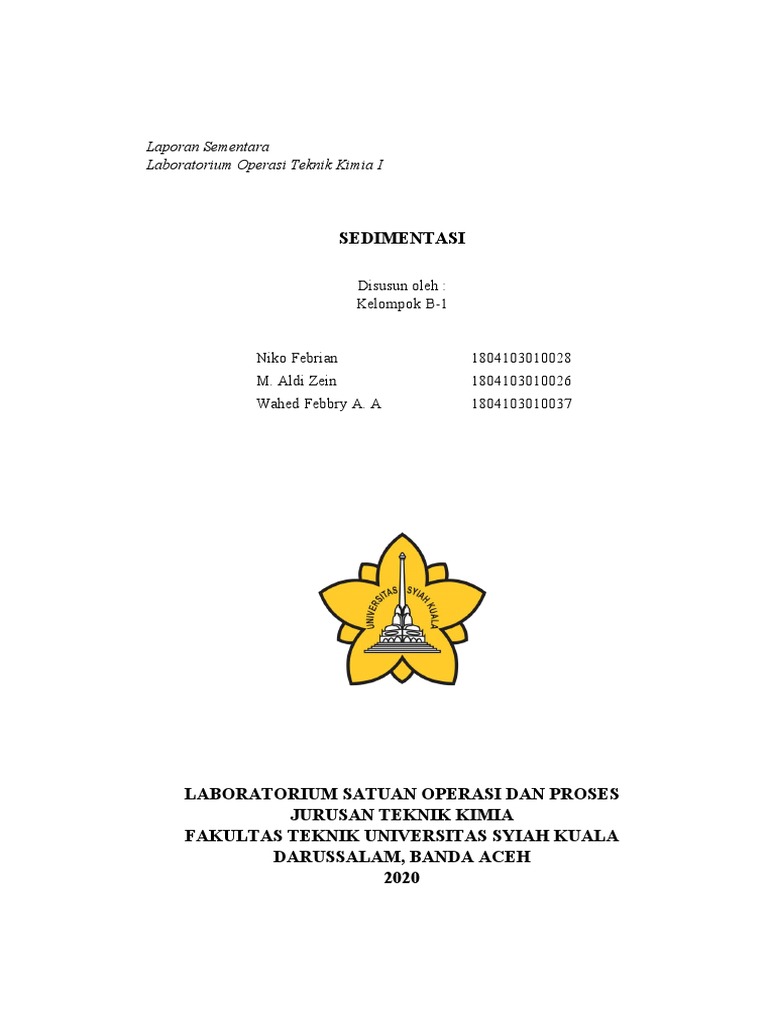 SEDIMENTASI | PDF