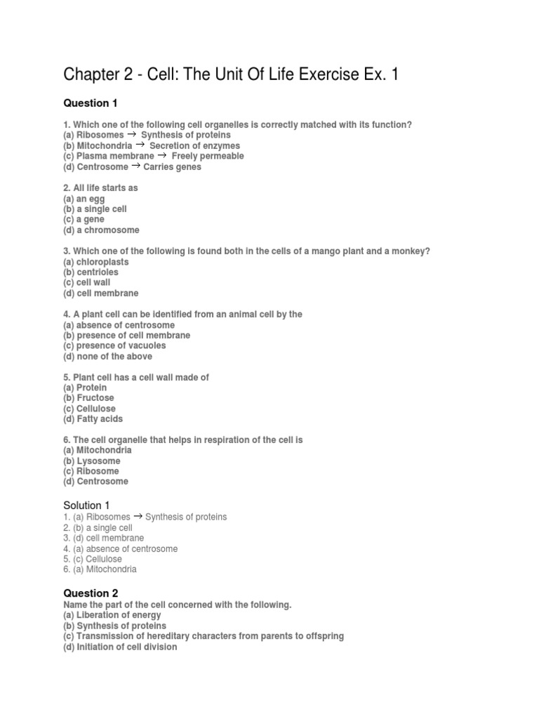 Cell Structure and Function Exercises | PDF | Cell (Biology) | Cytoplasm