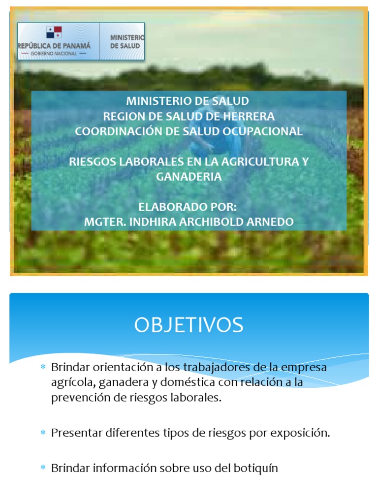 Plan Colmena | PDF | Herida | Seguridad y salud ocupacional