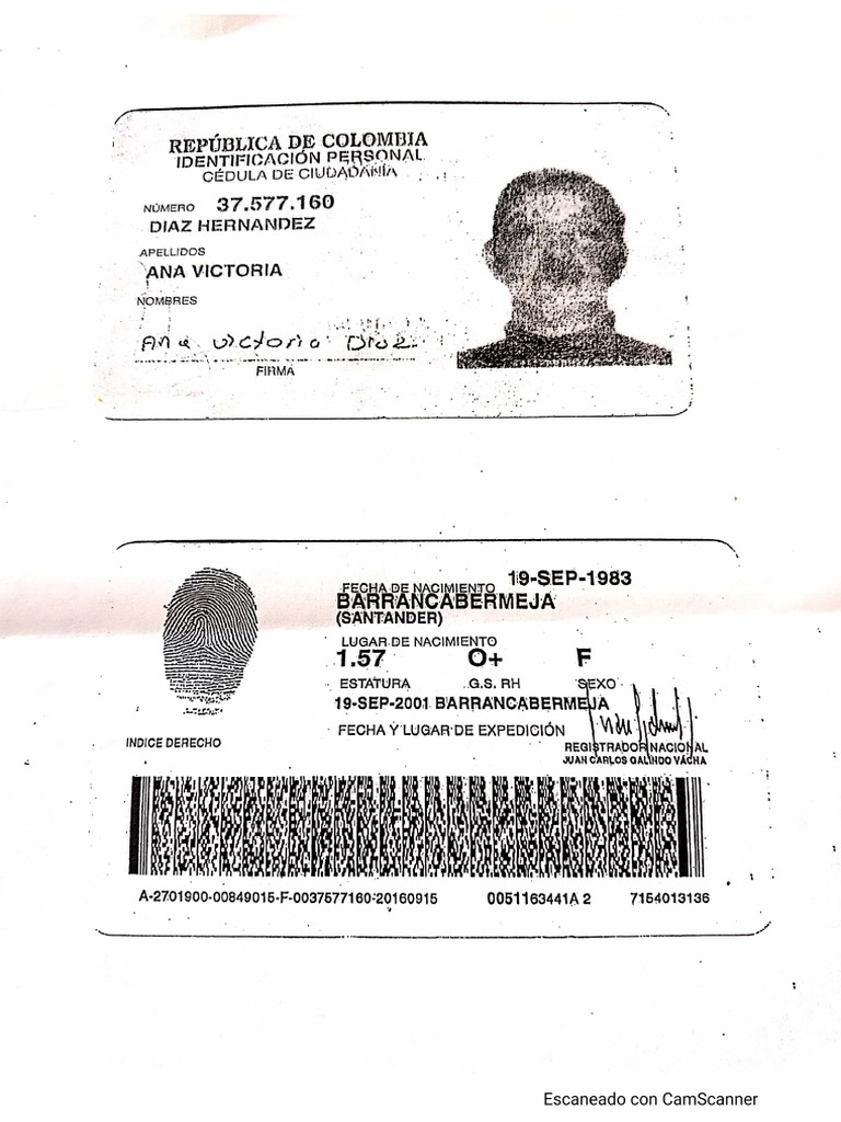 Documentos Ana | PDF