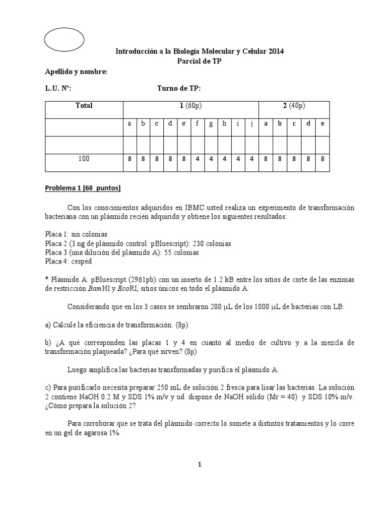 IBMC ParcTP 2014 (Con Respuestas) | PDF | Plásmido | Enzima