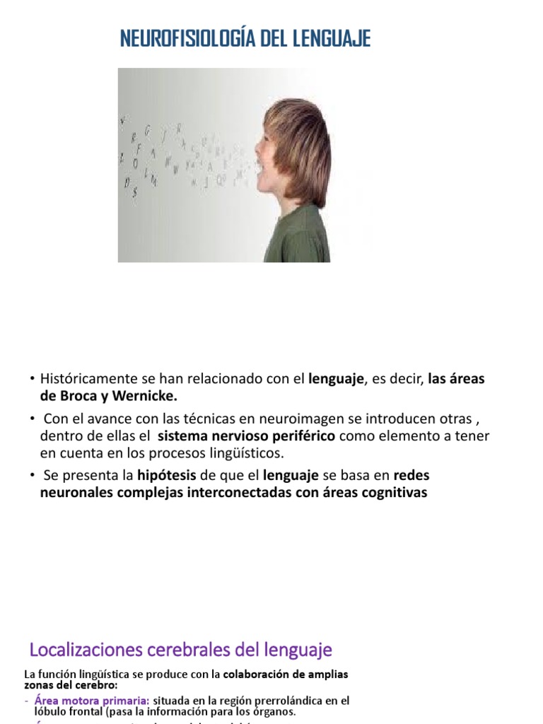 Neurofisiología Del Lenguaje Pdf Cerebro Sistema Nervioso