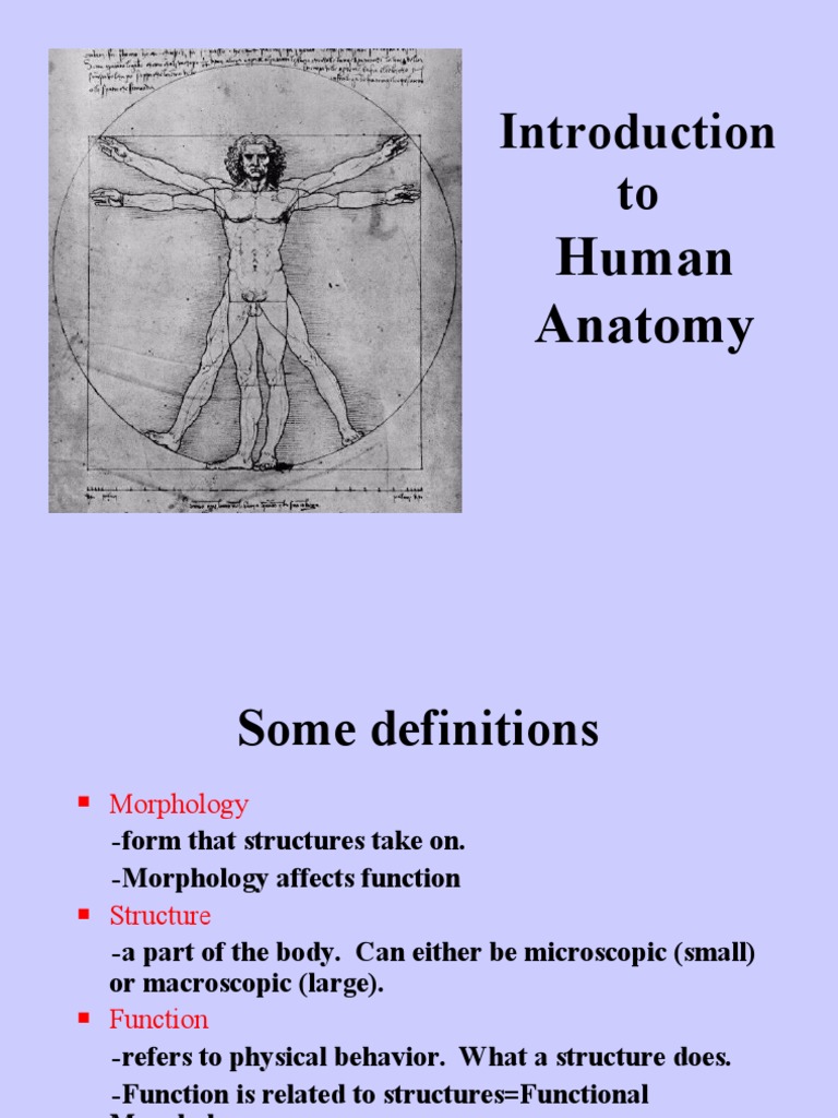 Introduction To Human Anatomy | PDF | Anatomical Terms Of Location ...