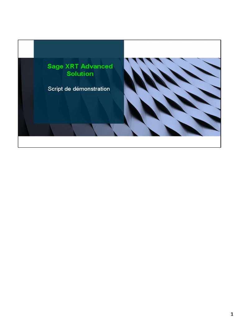 Scripts de Démonstration Sage XRT Advanced V3 | PDF | Microsoft Excel ...