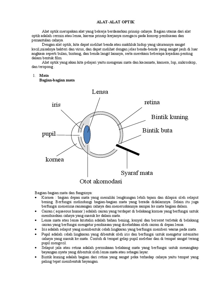 Alat Optik Mata | PDF